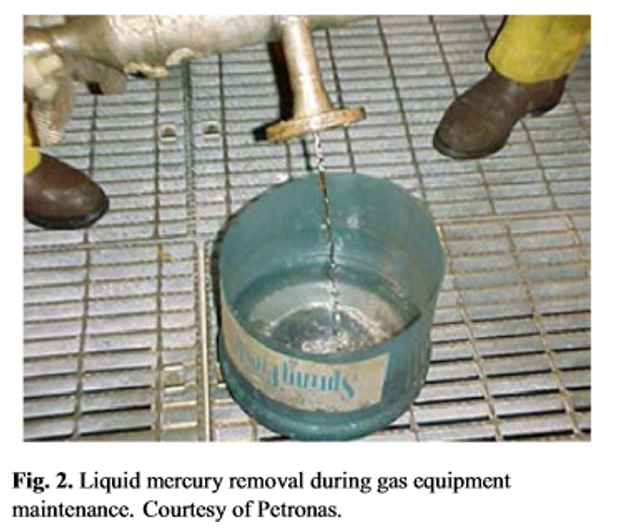 In-person @NPD & Webinar: JIP proposal- Mercury- to understand the ...