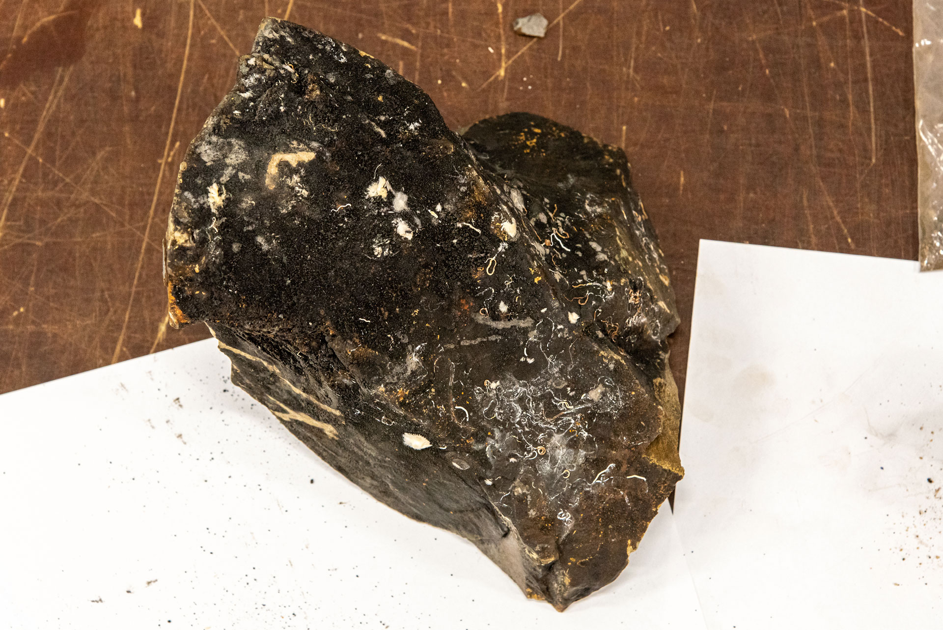 Bilete av havbotnmineral - Sokkeldirektoratet