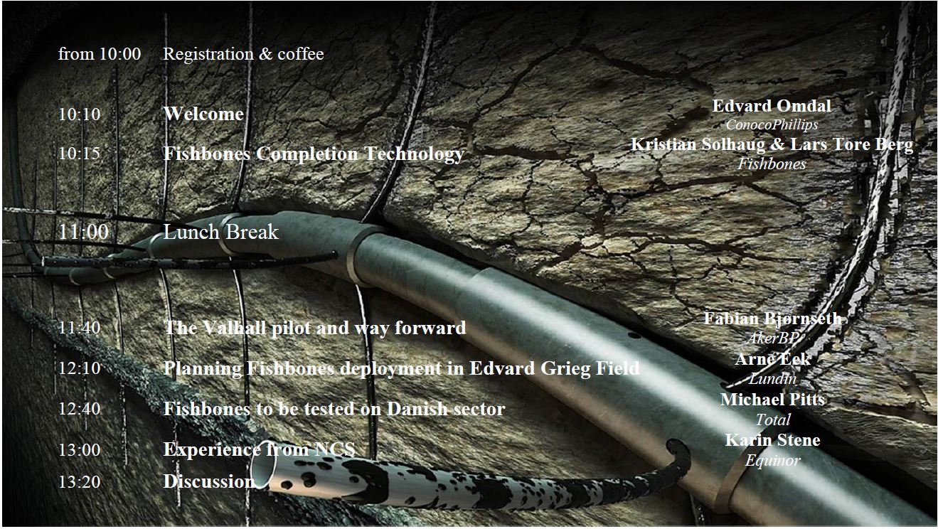 Fishbones Completion Technology - The Norwegian Offshore Directorate