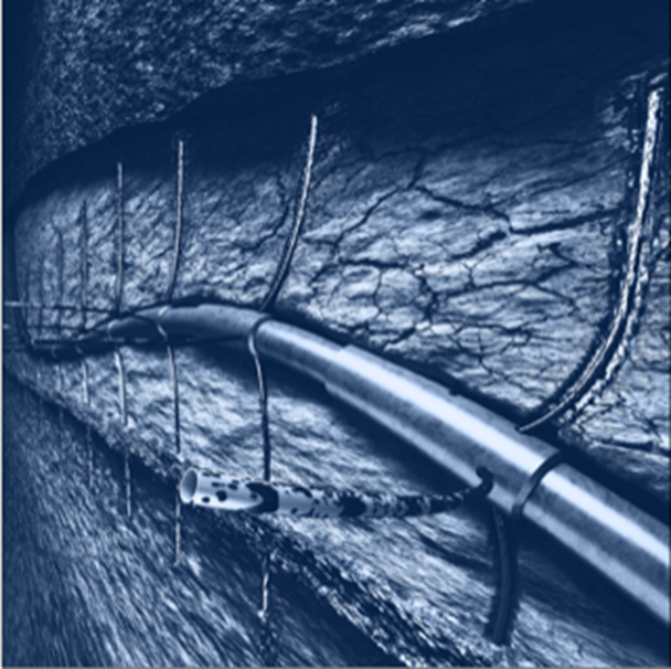 Webinar: Use of fishbones for improved recovery, challenges and results ...